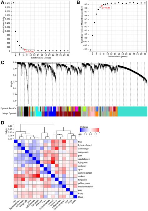 Ceacam1 As A Molecular Target In Oral Cancer Figure F6 Aging
