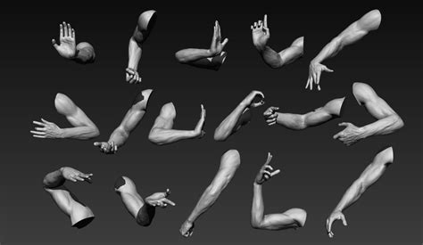 Artstation Male Arms 16 Poses Resources