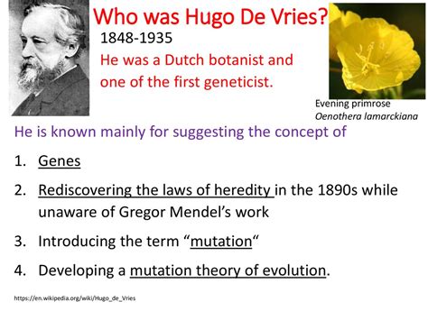 Hugo De Vries Mutation Theory
