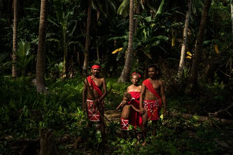 The Worlds Healthiest Forests Are On Indigenous Land Heres Why Grist