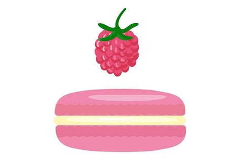 Raspberry Macaroon Icon Cartoon Vector Cake French
