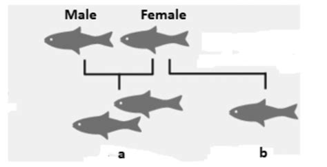 Observe The Diagram Given Below And Identify A And B