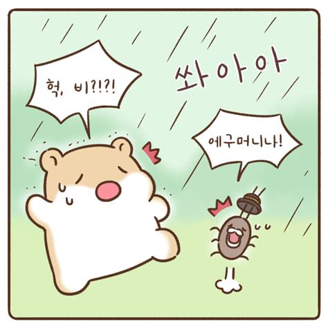 아라찌 비 오는 산책길🌂 장마 비 비오는날 장마시작 시원한 비오는날☔️ 장마철