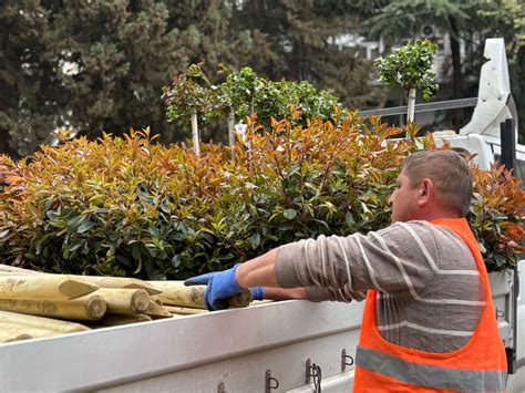 აკაკი ალადაშვილი Akaki Aladashvili ♻️ დედაქალაქის გამწვანებას განსაკუთრებული მნიშვნელობა