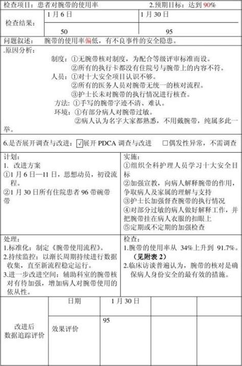 护理持续质量改进 CQI 计划表 范文118