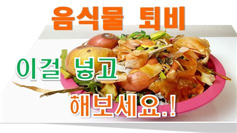 🍂 음식물 쓰레기로 천연퇴비 만드는법 음식물 찌꺼기로 친환경 퇴비 만들기 Youtube