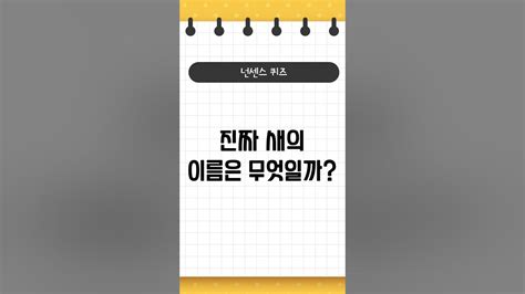 넌센스 퀴즈 진짜 새의 이름은 무엇일까 Shorts Youtube