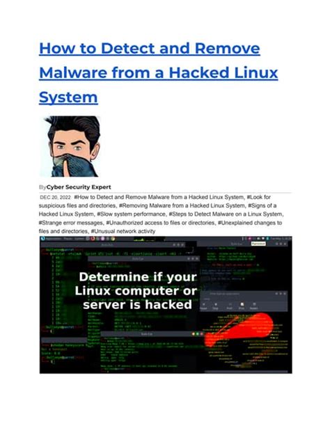 How To Detect And Remove Malware From A Hacked Linux Systempdf
