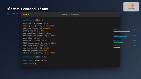 Timeout Command Linux Complete Guide To Running Commands With Time Limits Codelucky