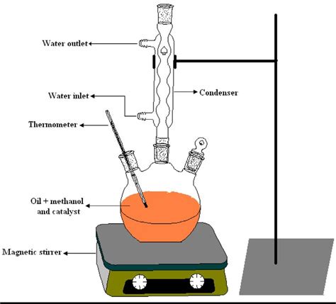 Schematic Diagram Of Transesterification Reaction Download Scientific Diagram