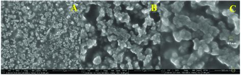 Sem Imagines Of Nanospheres Suspension 3 Enlarged 20000 Times A