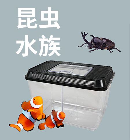 佛山市盛雅宠物用品制造有限公司