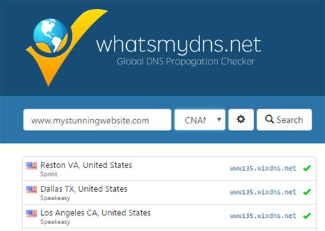 Checking Your Domain S DNS Records Using Whatsmydns Net Help Center Wix Com
