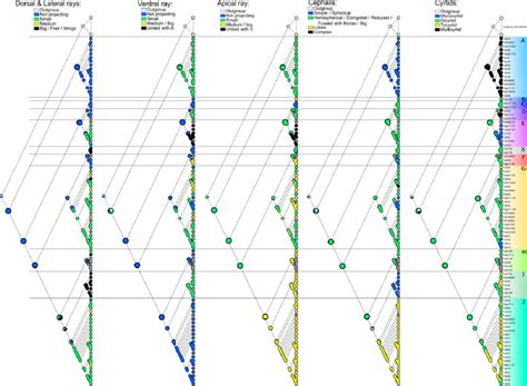 Parsimony Ancestral State Reconstruction Analysis Based In The