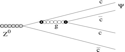 Quark Fragmentation For Z 0 → Ψ C¯ C Download Scientific Diagram
