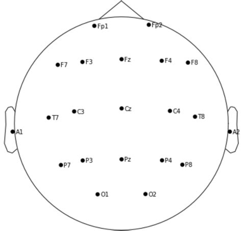 The 10 20 System For EEG Electrodes Positioning Download Scientific Diagram