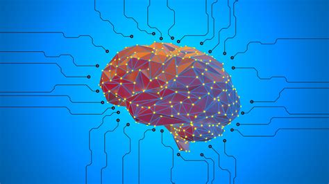 Reti neurali artificiali cosa sono come funzionano e perché vengono