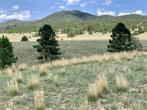 Romero Hills Ranch Mora New Mexico Fay Ranches