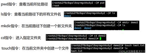Linux的基本指令 一 （一般） Csdn博客