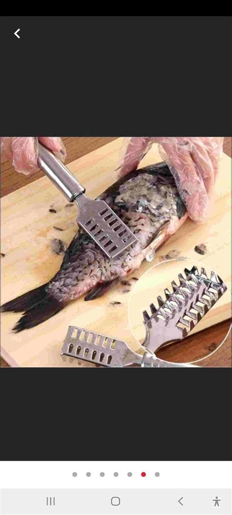 Fish Scale Remover Sg Stores