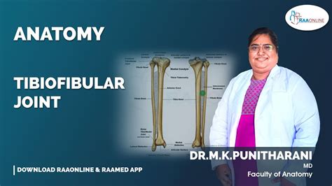 Tibiofibular Joint Youtube