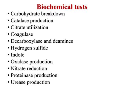 4 Laboratory Methods For Identification Of Microorganisms Microbiology Pptx