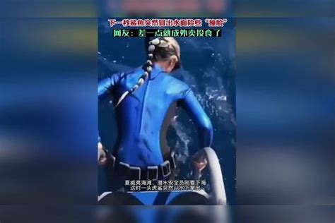 女子上一秒想下海潜水，下一秒鲨鱼突然冒出水面险些“撞脸”。