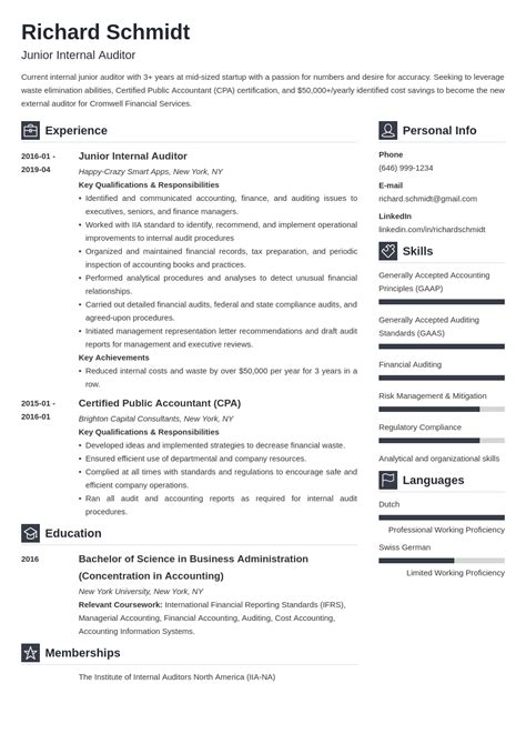 Auditor Resume Sample And Guide 20 Examples