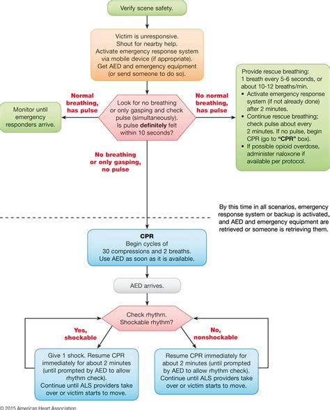 Cardiopulmonary Resuscitation And Advanced Cardiac Life Support