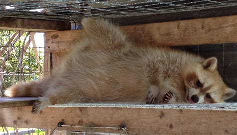 Draw Me Like One Of Your French Girls Rpics