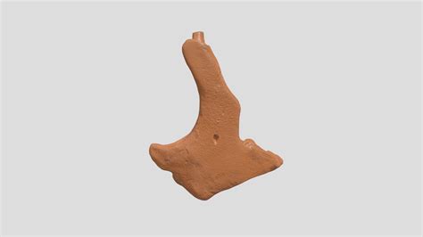 Zygomatic L 3d Model By 3d Leiden Archaeology [70a96b8] Sketchfab