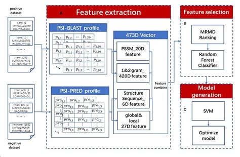 Figure 1 From Aops Svm A Sequence Based Classifier Of Antioxidant Proteins Using A Support