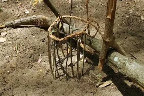 简易陷阱制作 简易竹子手工制作大全 制作 大山谷图库