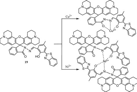 the structure of imine linked novel probe 19 and binding modes with cu