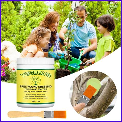 Tree Wound Sealer Tree Wound Bonsai Cut Paste Smear Agent Plant Grafting Pruning Sealer Bonsai