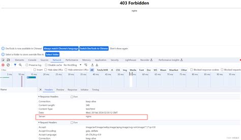 Nginx漏洞整改实现限制ip访问and隐藏nginx版本信息nginx脚本之家