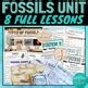 Fossils And Paleontology Unit Bundle Of 8 Science Lessons TPT