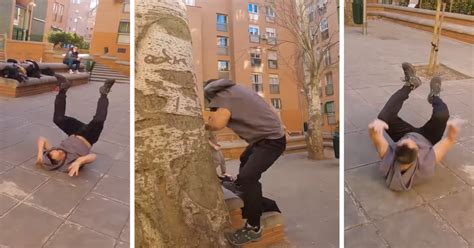 La Faloteca Nacional De Islandia El Museo De Penes Más Completo Del Mundo Infobae