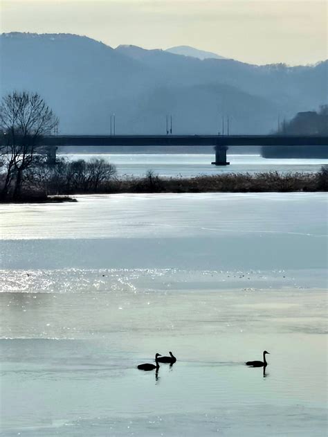 경환 행복의 시작은 감사 행복은 일상의 감사에서 시작됩니다 신선한 공기 따뜻한 햇살 한 잔의 커피 일하며 흘리는 땀 맛있는 음식 건강 삶의 시간 그리고