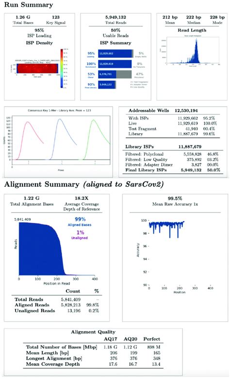 ngs run summary representation of an ngs data analysis report about