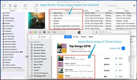 Mac iTunes M P到MP 转换器 将受保护的M P歌曲转换为MP 不含iTunes