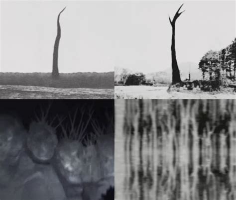 Special Tree The Monument Mythos Wiki Fandom