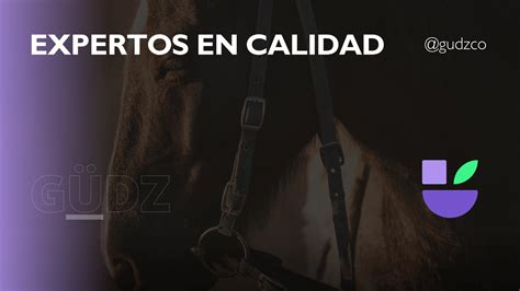 Felix Felix Santiago Oliver Un Joven Para La Historia