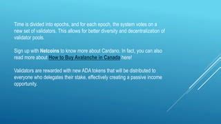 What Are The Top Benefits Of Cardano How To Buy Cardano In Canada PPT