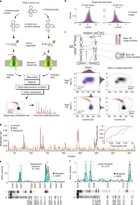 Yue Wan On Linkedin Our Nanopore Rna Structure Probing Paper Is Out