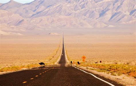 Extraterrestrial Highway Nevada Stock Image Image Of Growth Lines 107892645