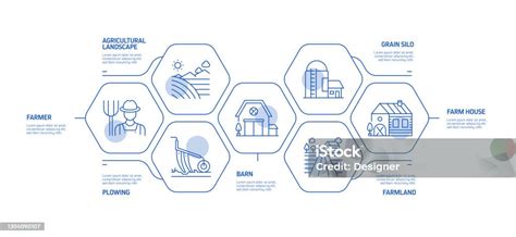 농업 및 농업 관련 프로세스 인포그래픽 템플릿 프로세스 타임라인 차트 아이콘이 있는 워크플로 레이아웃 가금류에 대한 스톡 벡터 아트 및 기타 이미지 Istock
