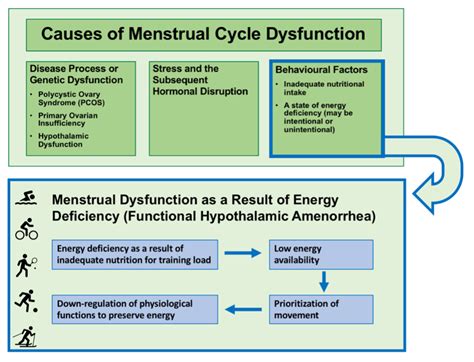 The Abnormal Menstrual Cycle Misunderstood And Mismanaged BJSM Blog