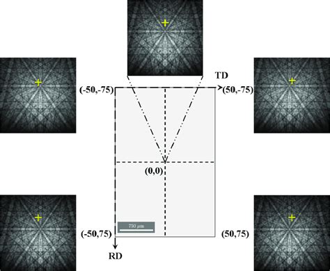Schematic Of The Scan Setup For The Simulated Large Area EBSD Data Download Scientific
