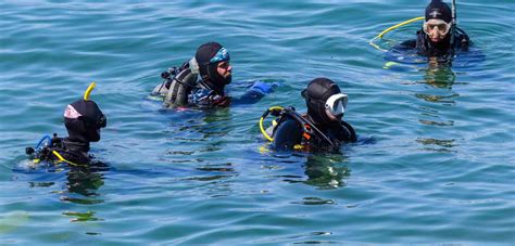 Face Split Diving Accident The Shocking Viral Incident Explained